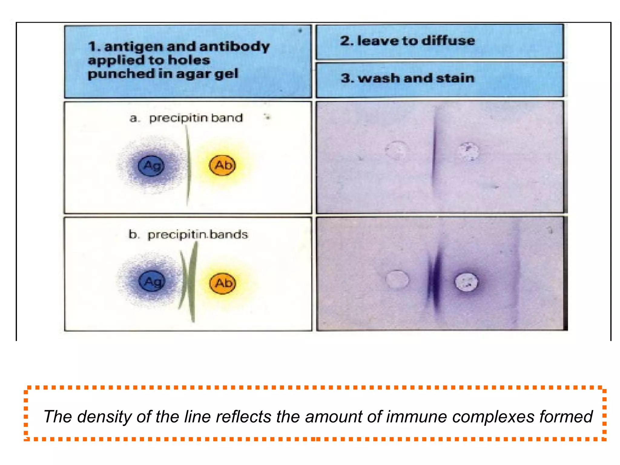 Immunodiffusion principles and application | PPT