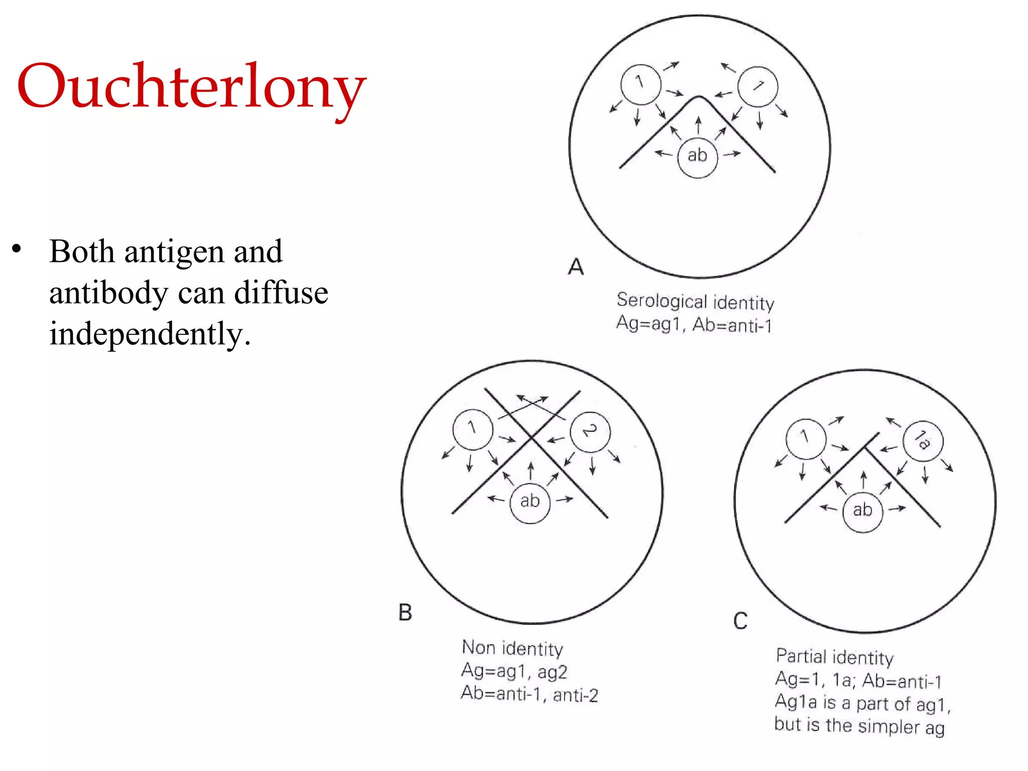 Immunodiffusion principles and application | PPT