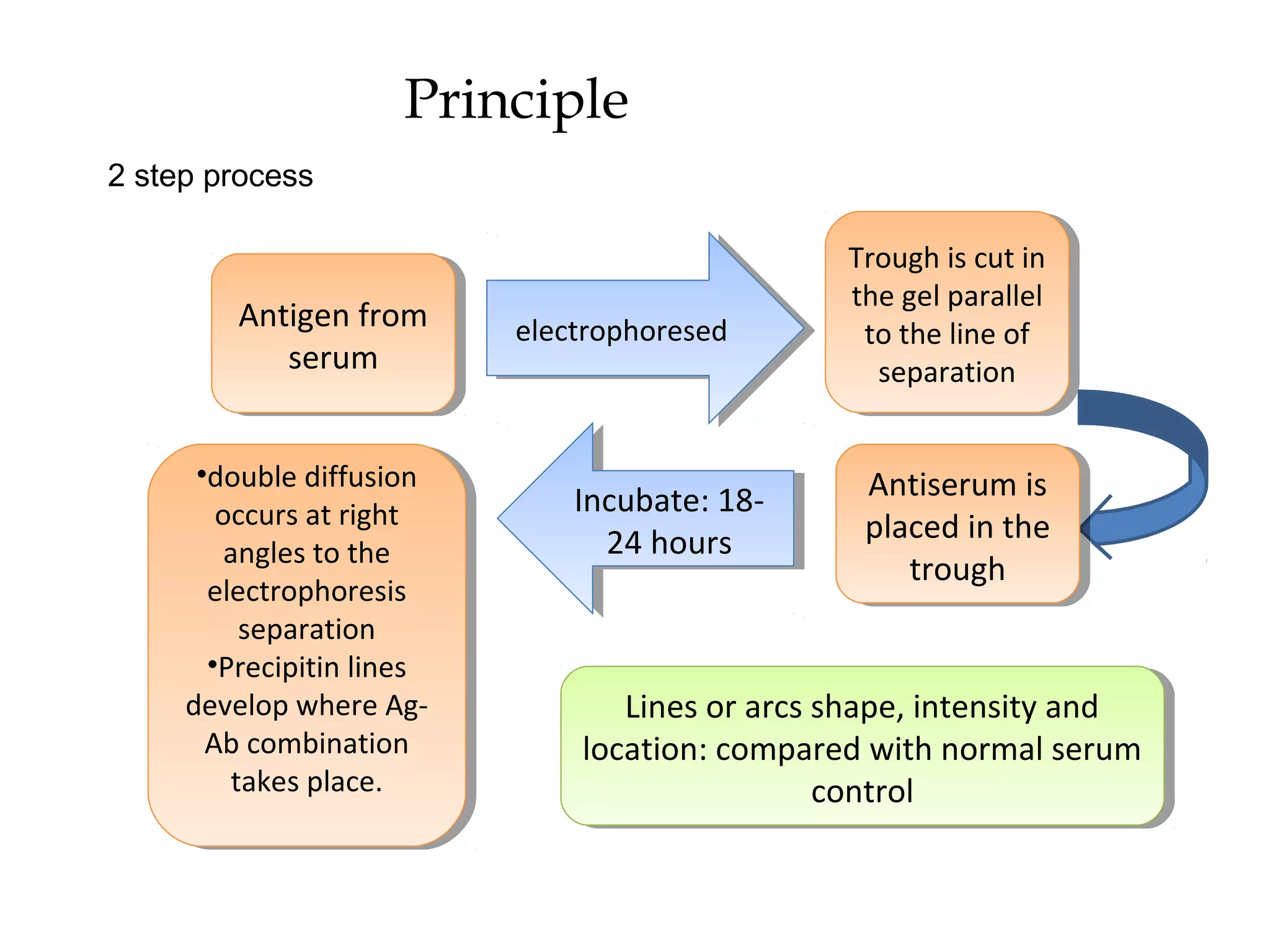 Immunodiffusion principles and application | PPT