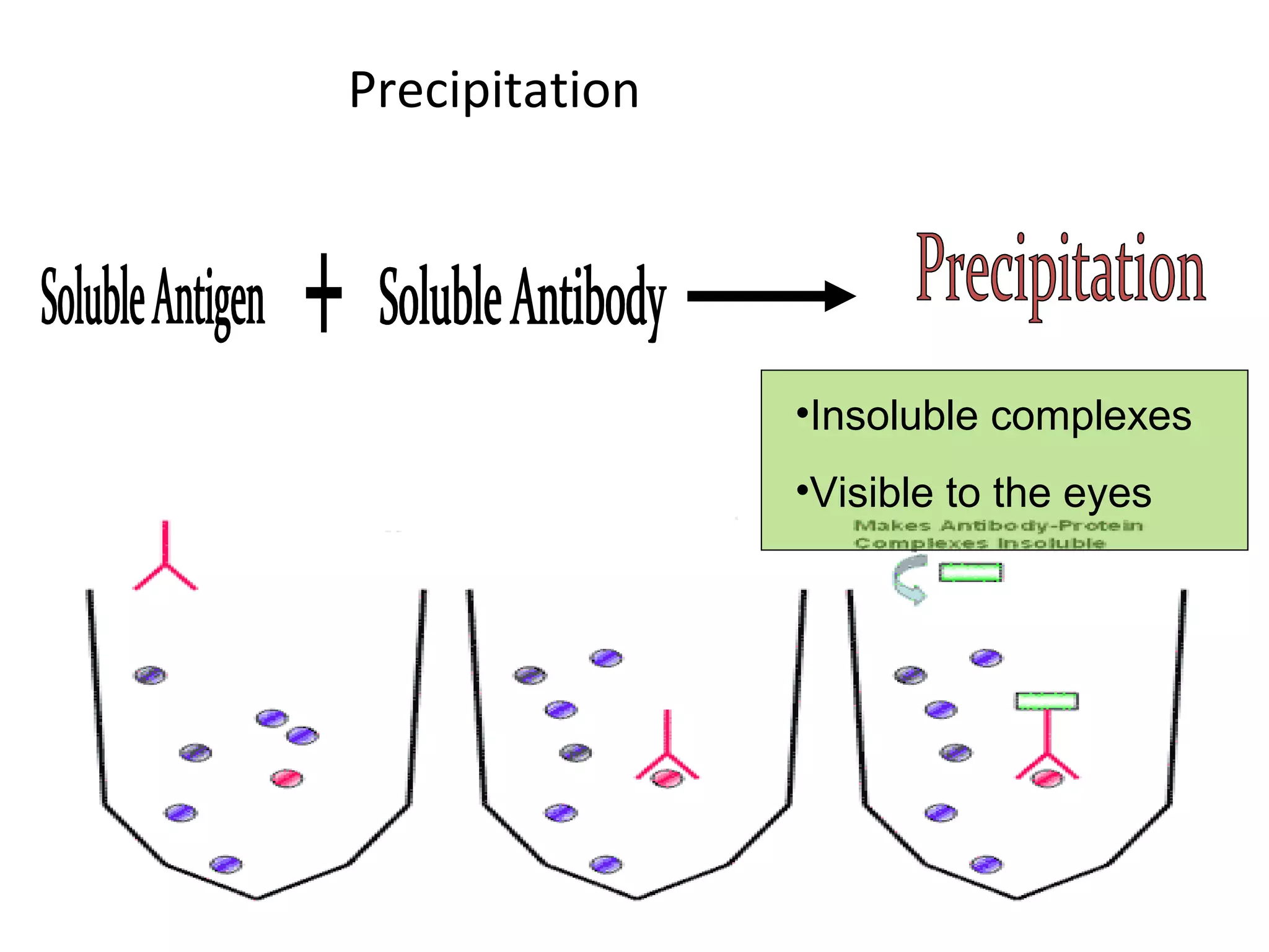 Immunodiffusion principles and application | PPT