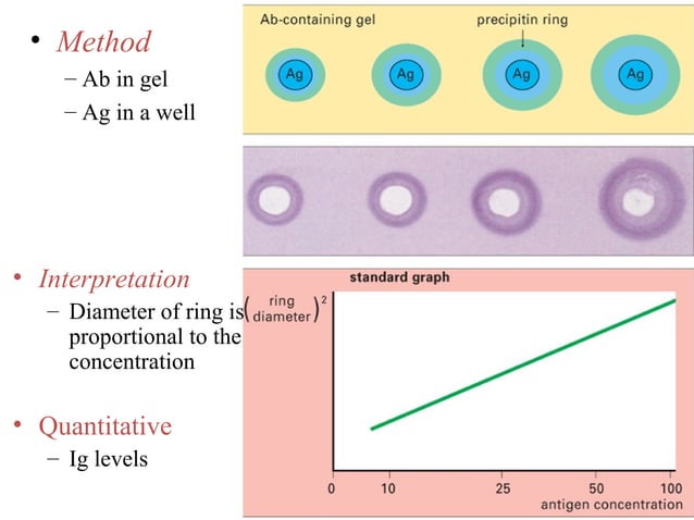 Immunodiffusion principles and application | PPT