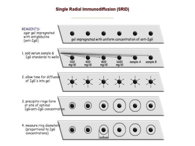 Immunodiffusion principles and application | PPT