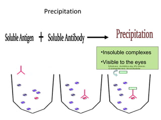 Immunodiffusion principles and application | PPT