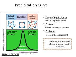 Immunodiffusion principles and application | PPT