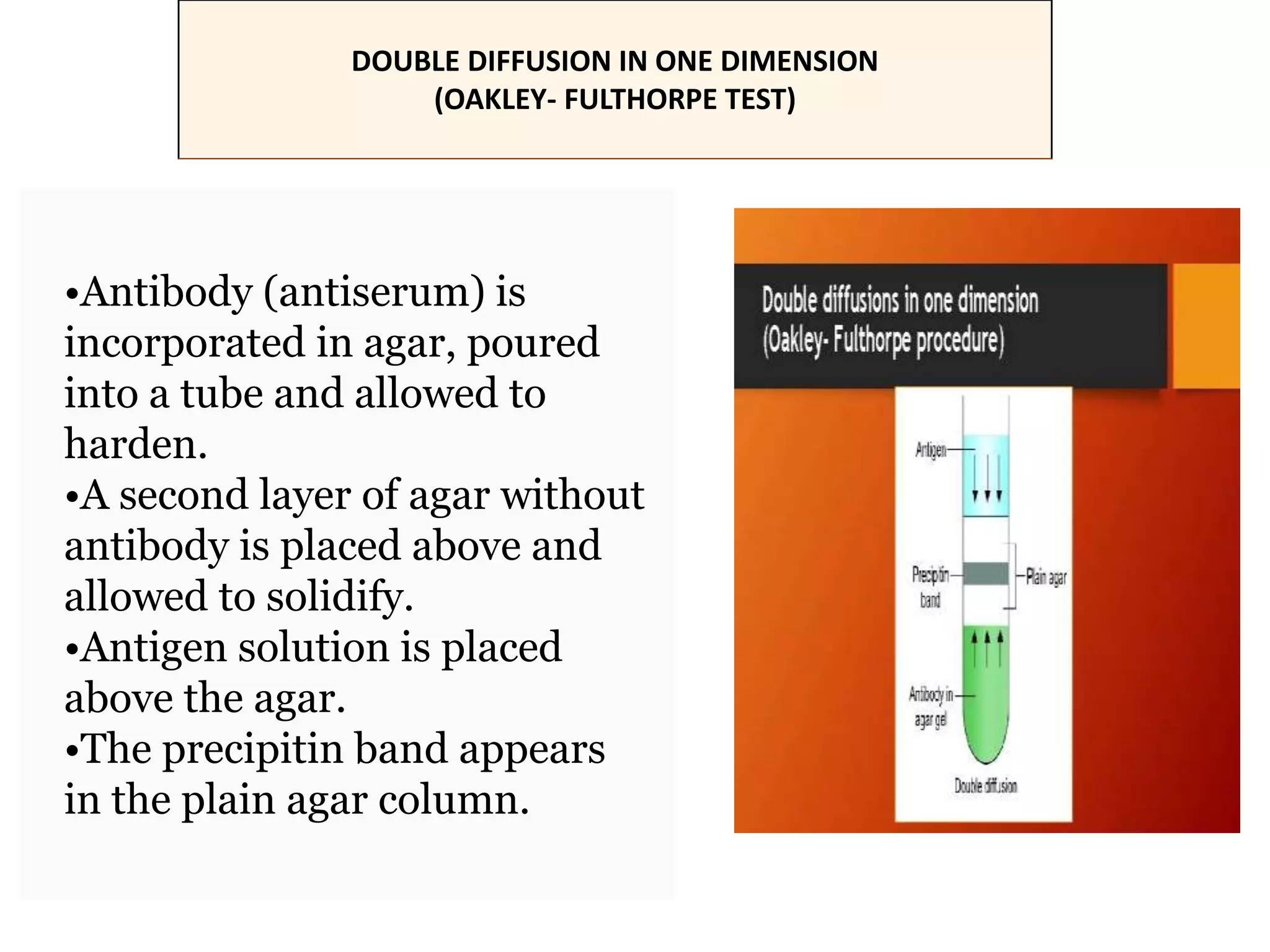 Immunodiffusion | PPTX