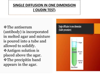 Immunodiffusion | PPTX
