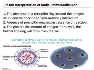 Immunodiffusion | PPTX