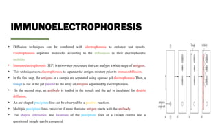 "Immunodiffusion and Immunoelectrophoresis: Techniques for Analyzing ...