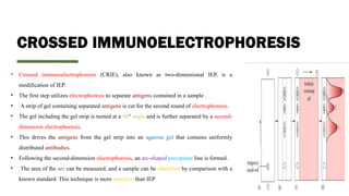 "Immunodiffusion and Immunoelectrophoresis: Techniques for Analyzing ...