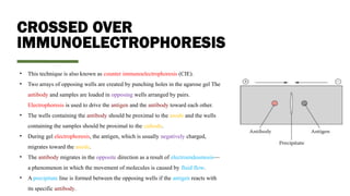 "Immunodiffusion and Immunoelectrophoresis: Techniques for Analyzing Antigen-Antibody ...