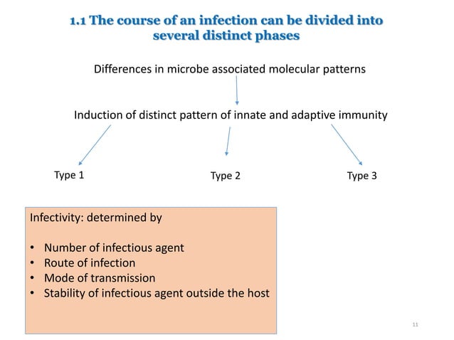 Integrated Dynamics of Innate & Adaptive Immunity | PPT