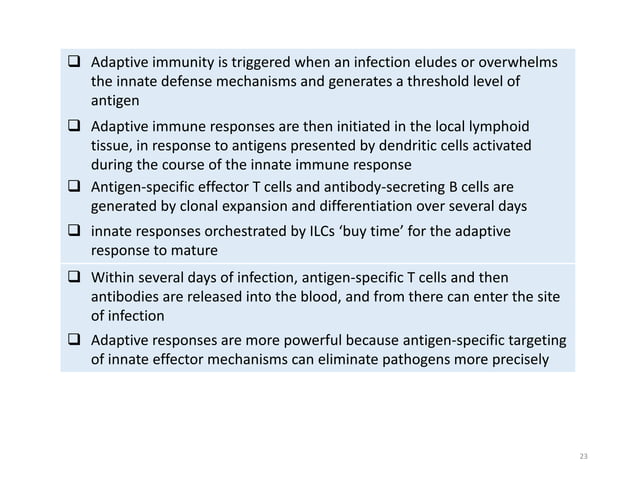 Integrated Dynamics of Innate & Adaptive Immunity | PPT