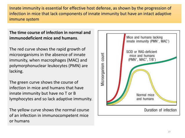 Integrated Dynamics of Innate & Adaptive Immunity | PPT