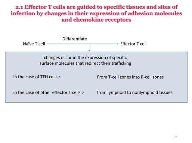 Integrated Dynamics of Innate & Adaptive Immunity | PPT