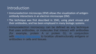 Immunoelectronmicroscopy principle and applications.pptx