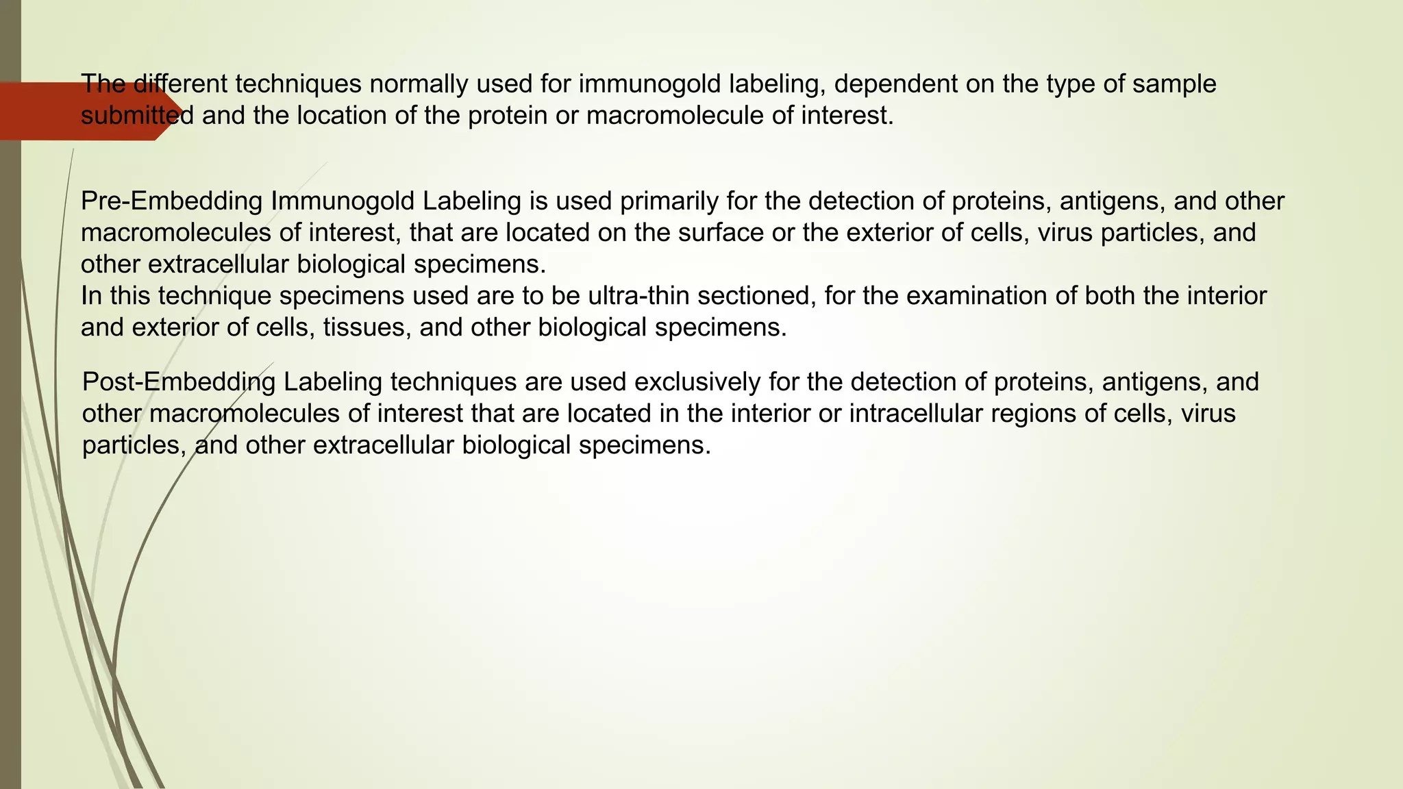 Immunoelectron microscopy | PPTX