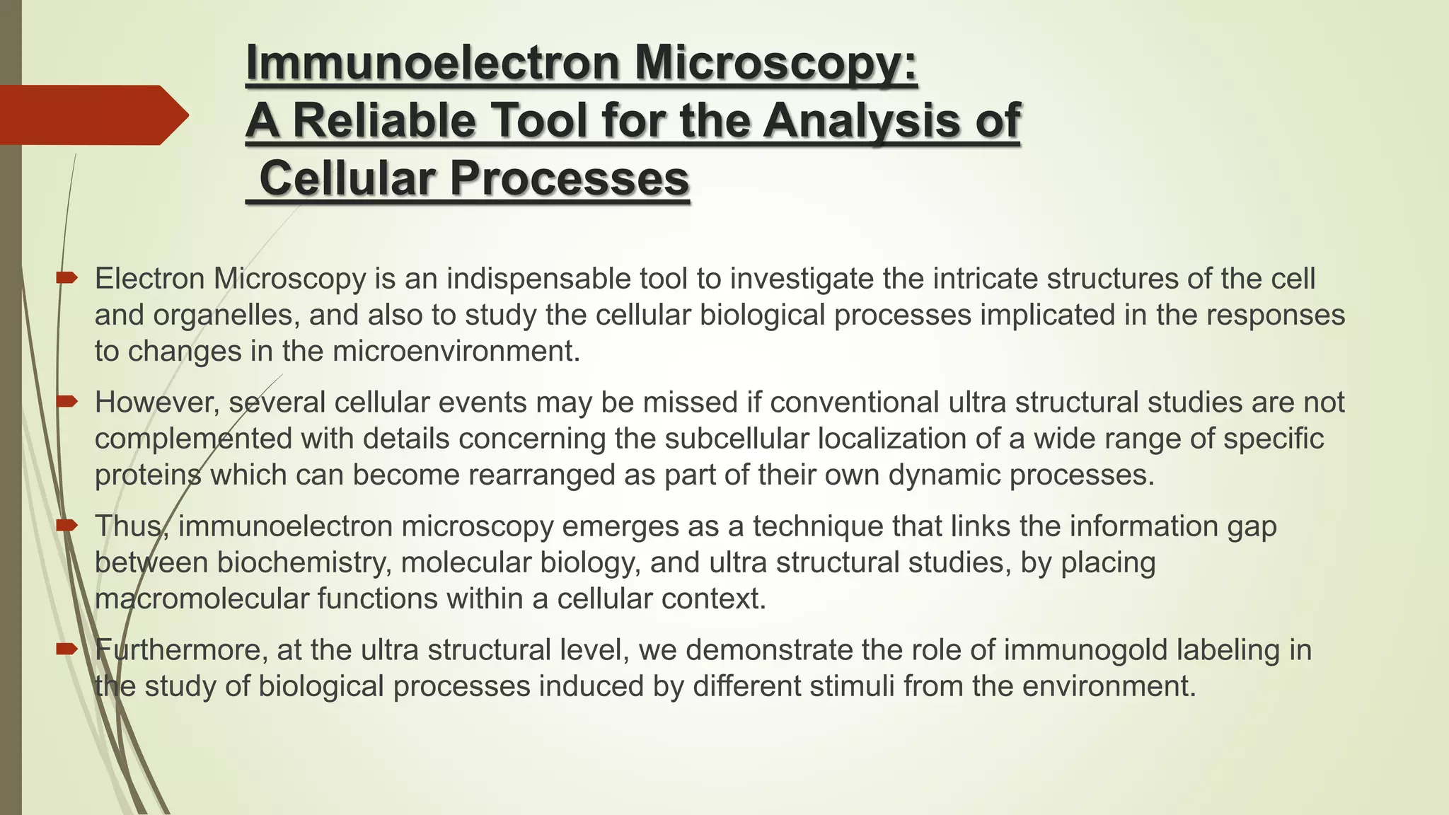 Immunoelectron microscopy | PPTX