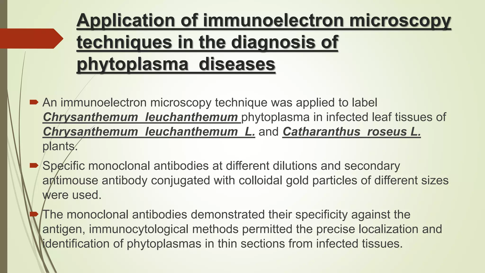 Immunoelectron microscopy | PPTX