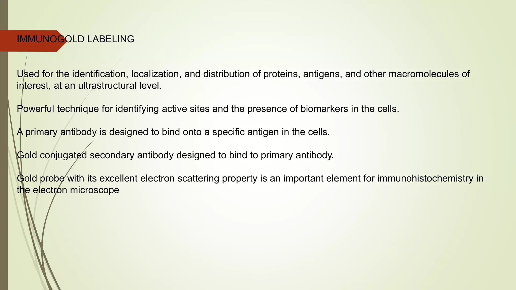 Immunoelectron microscopy | PPTX