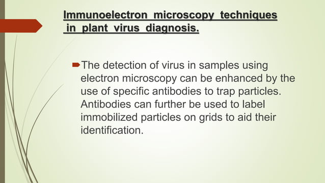 Immunoelectron microscopy | PPTX