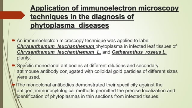 Immunoelectron microscopy | PPTX