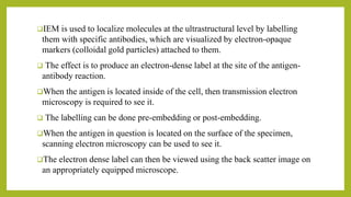 Immunoelectron microscopy | PPTX