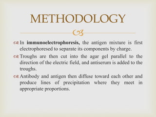 Immunoelectrophoresis | PPTX