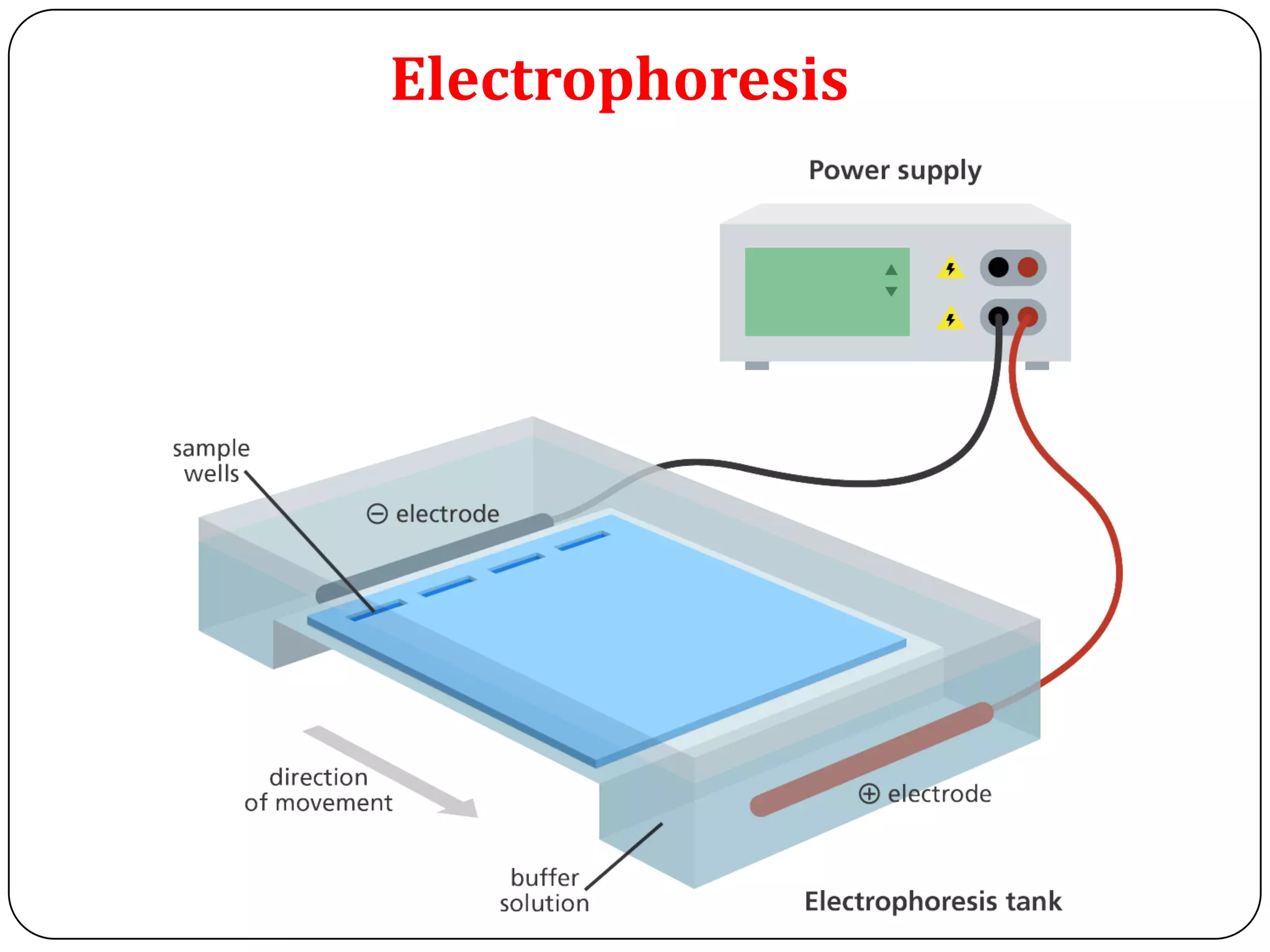 Immunoelectrophoresis | PDF