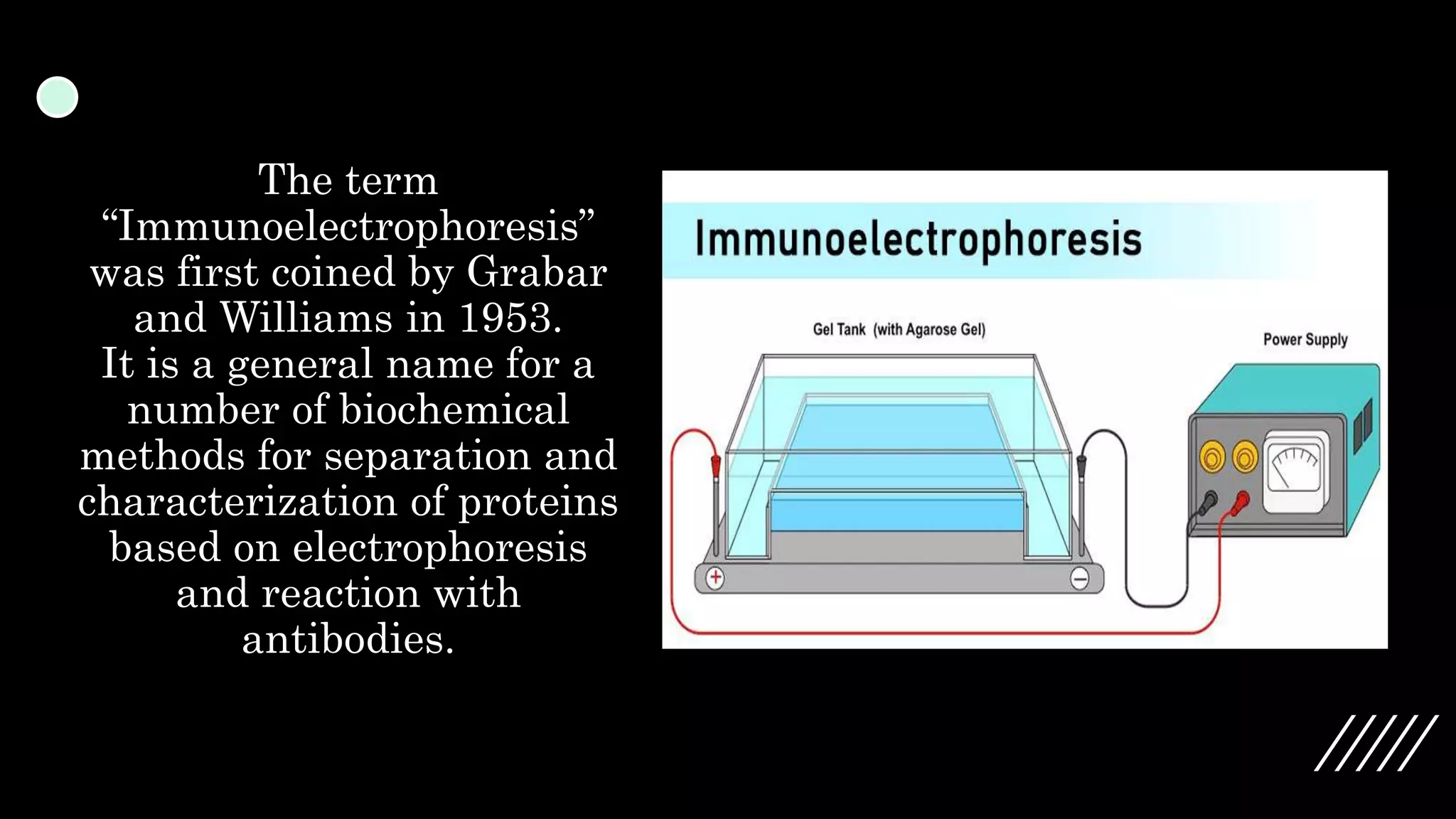 Immunoelectrophoresis.pptx