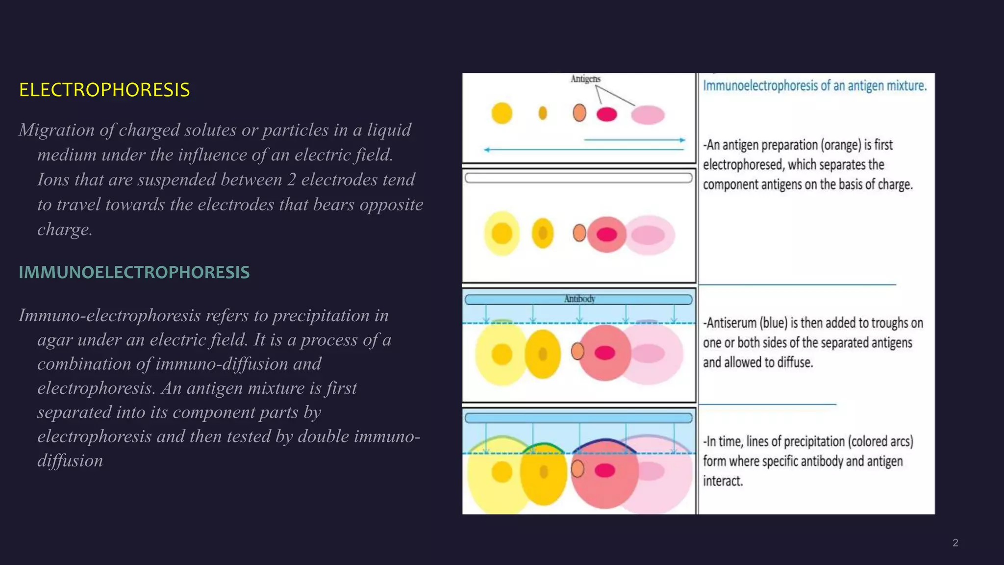 IMMUNOELECTROPHORESIS ORG.pptx