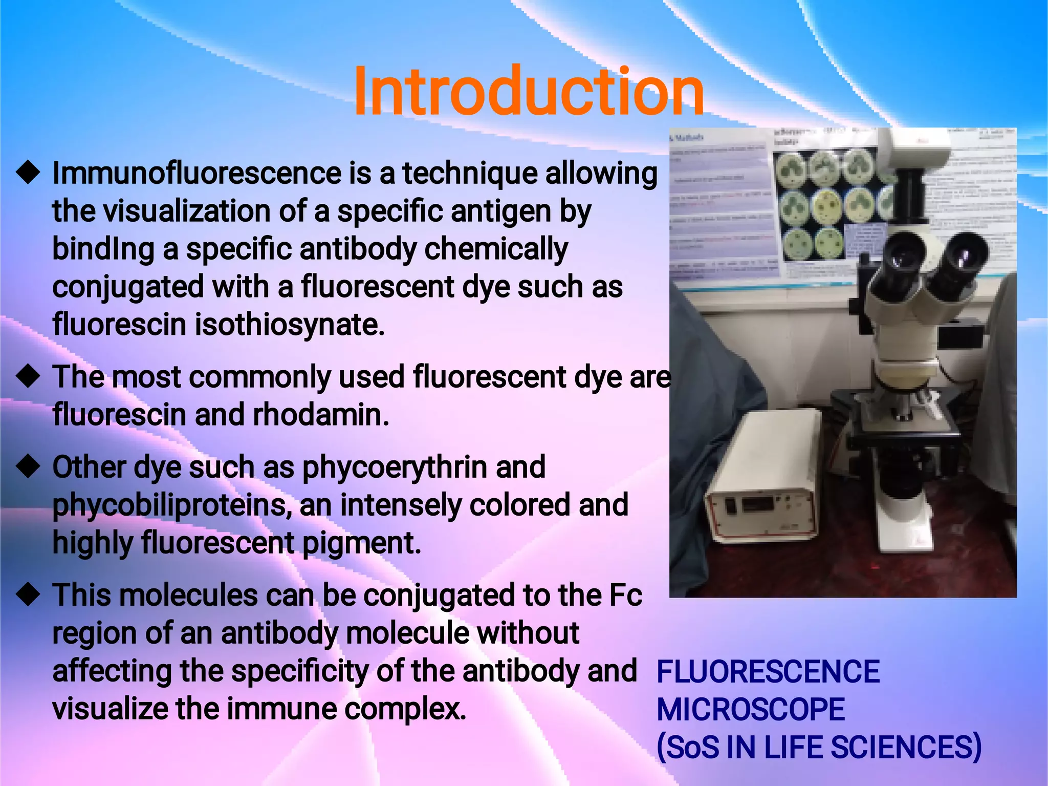 Immunofluoresce-WPS Office.pdf