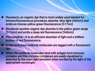 Immunofluoresce-WPS Office.pdf