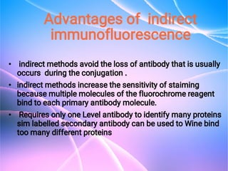 Immunofluoresce-WPS Office.pdf