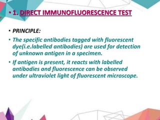 IMMUNOFLUORESCE TYPES | PPT