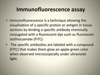 Immunofluorescence 130125142023-phpapp02 | PPTX