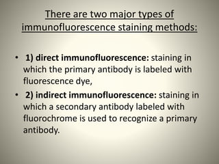 Immunofluorescence 130125142023-phpapp02 | PPTX