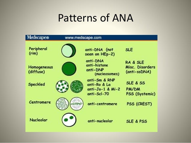 Immunofluorescence 130125142023-phpapp02