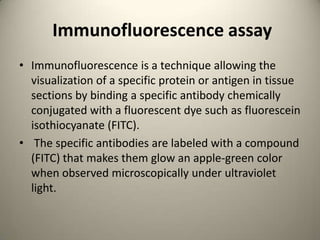 Immunofluorescence | PPTX