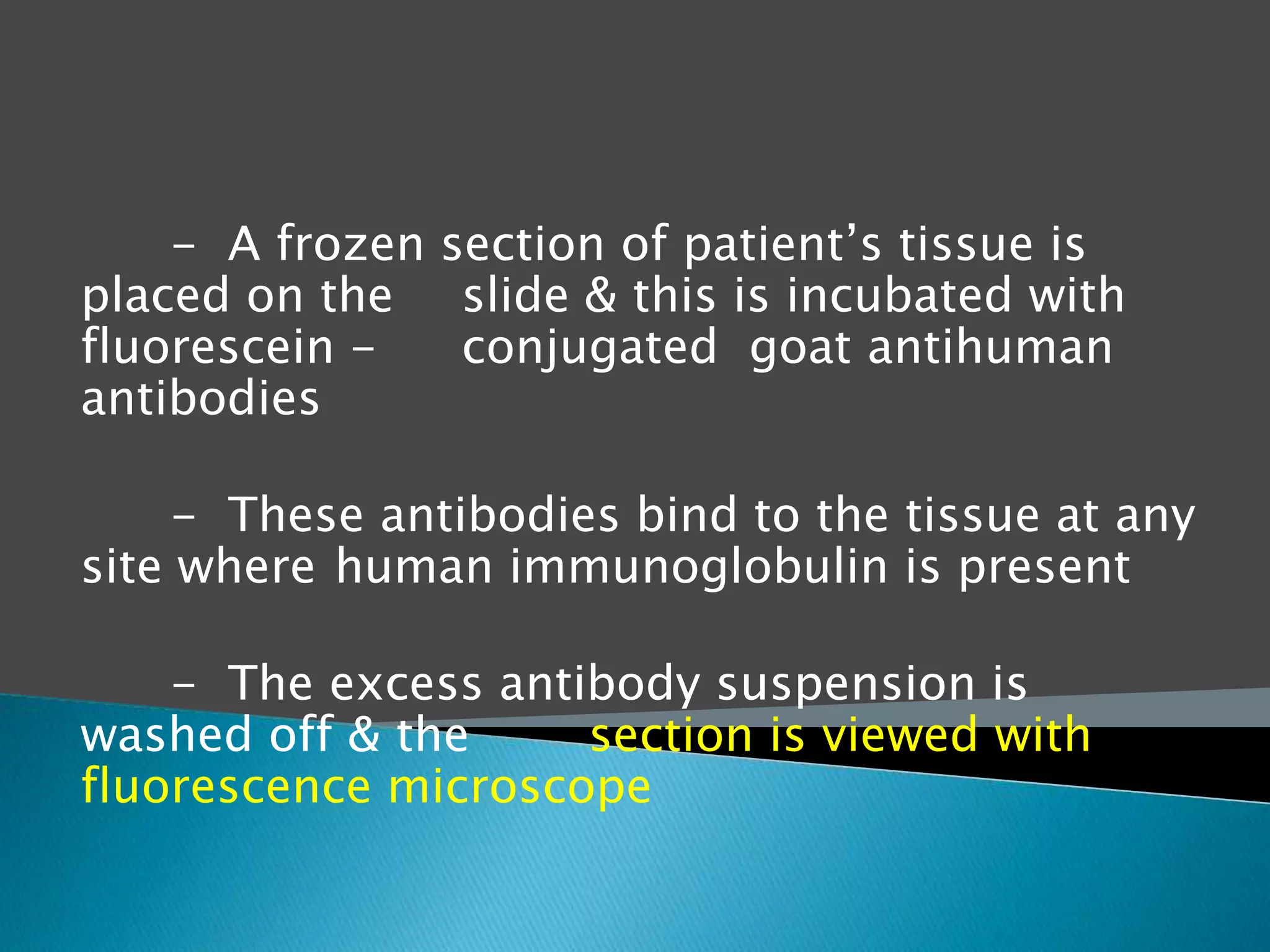 Immunofluorescence | PPTX