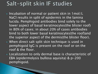 Immunofluorescence | PPT