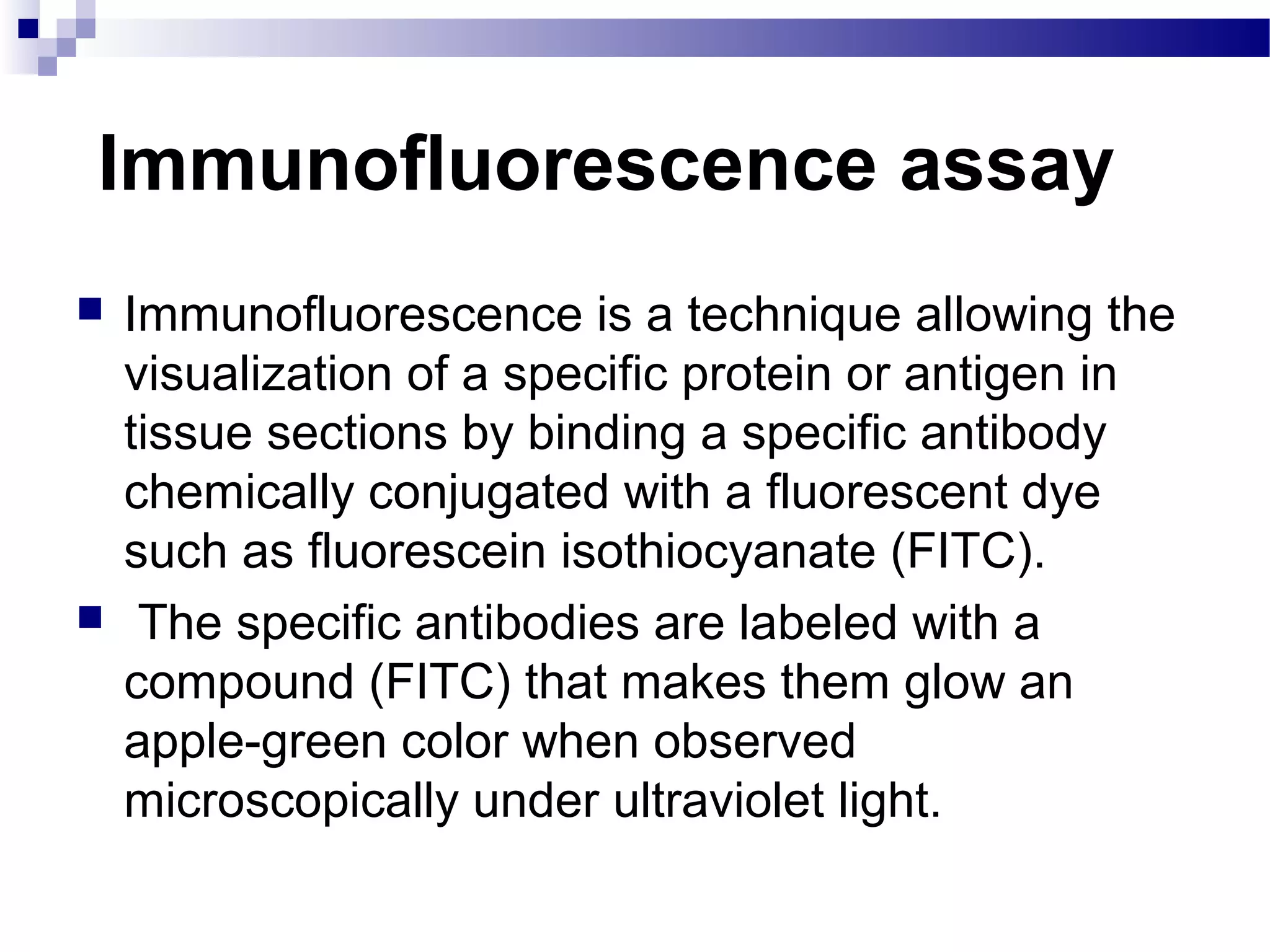 Immunofluorescence | PPT