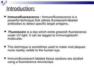 Immunofluorescence | PPT