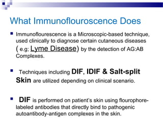 Immunofluorescence | PPT