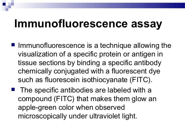 Immunofluorescence