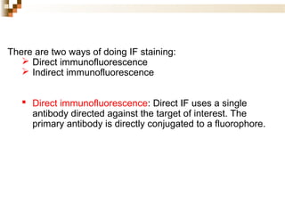 Immunofluorescence | PPT