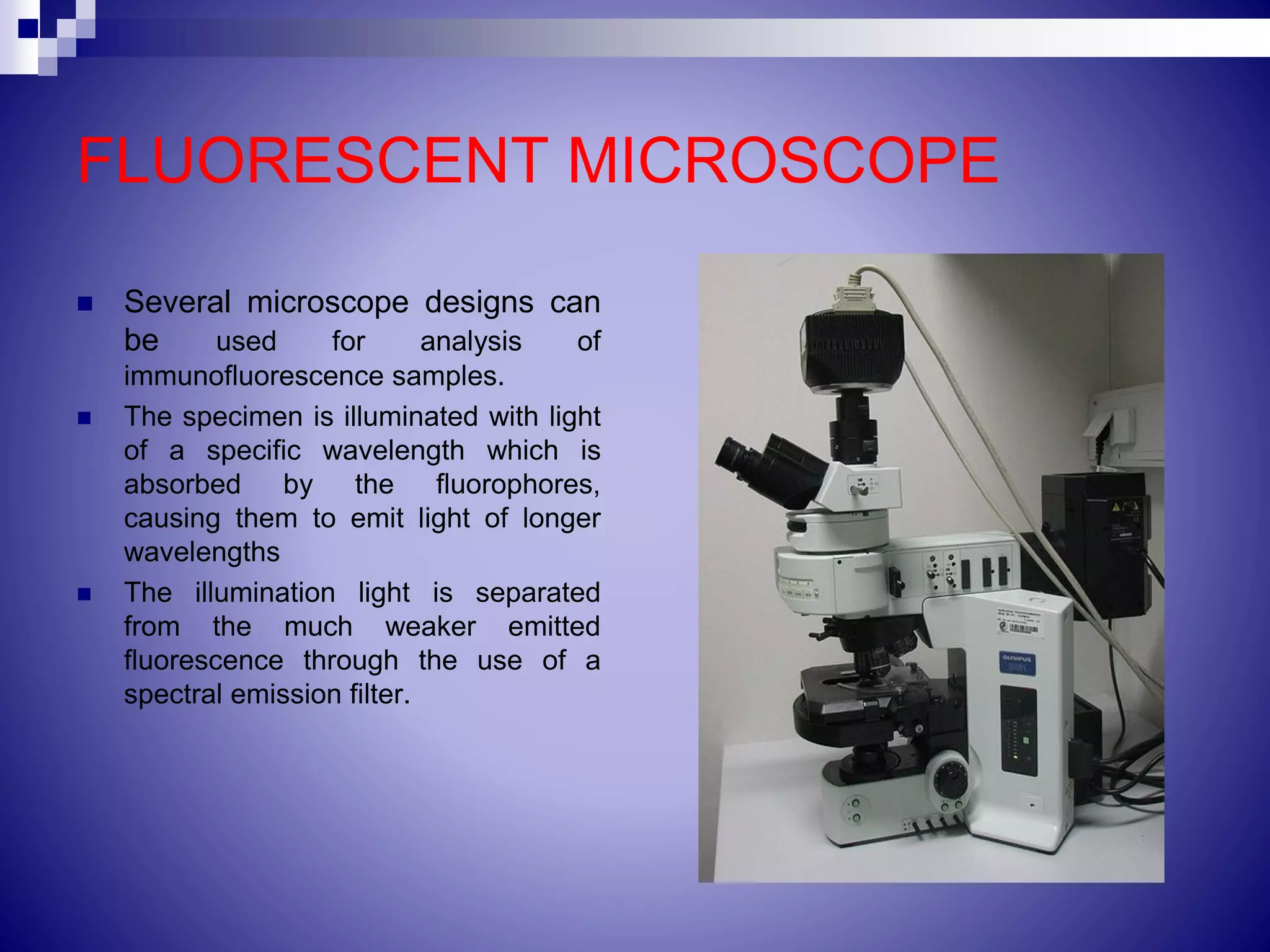 Immunofluorescence | PDF