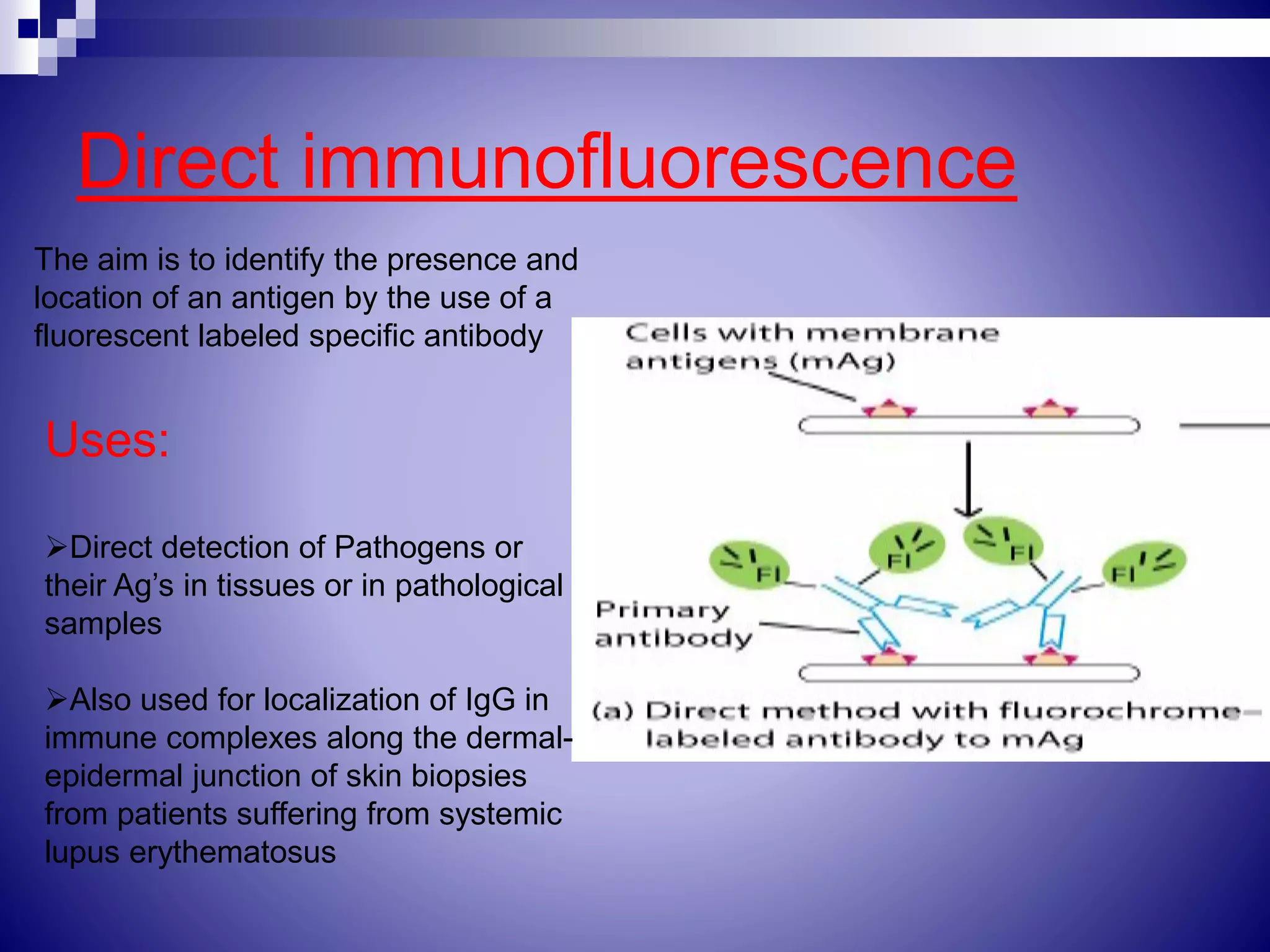 Immunofluorescence | PDF