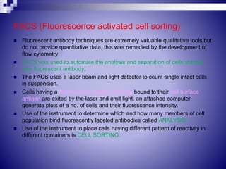 Immunofluorescence | PDF