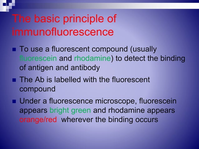 Immunofluorescence | PDF | Chemistry | Science