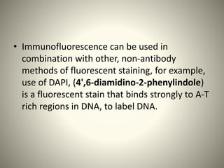Immunofluorescence technique | PPTX